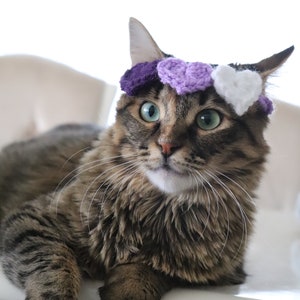 Heart Headband for Cats, Valentine's Day Cat Accessories, Cat Photo ...