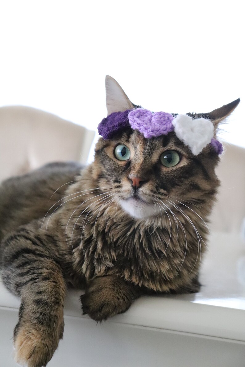 Heart Headband for Cats Valentine's Day Cat Accessories - Etsy New Zealand