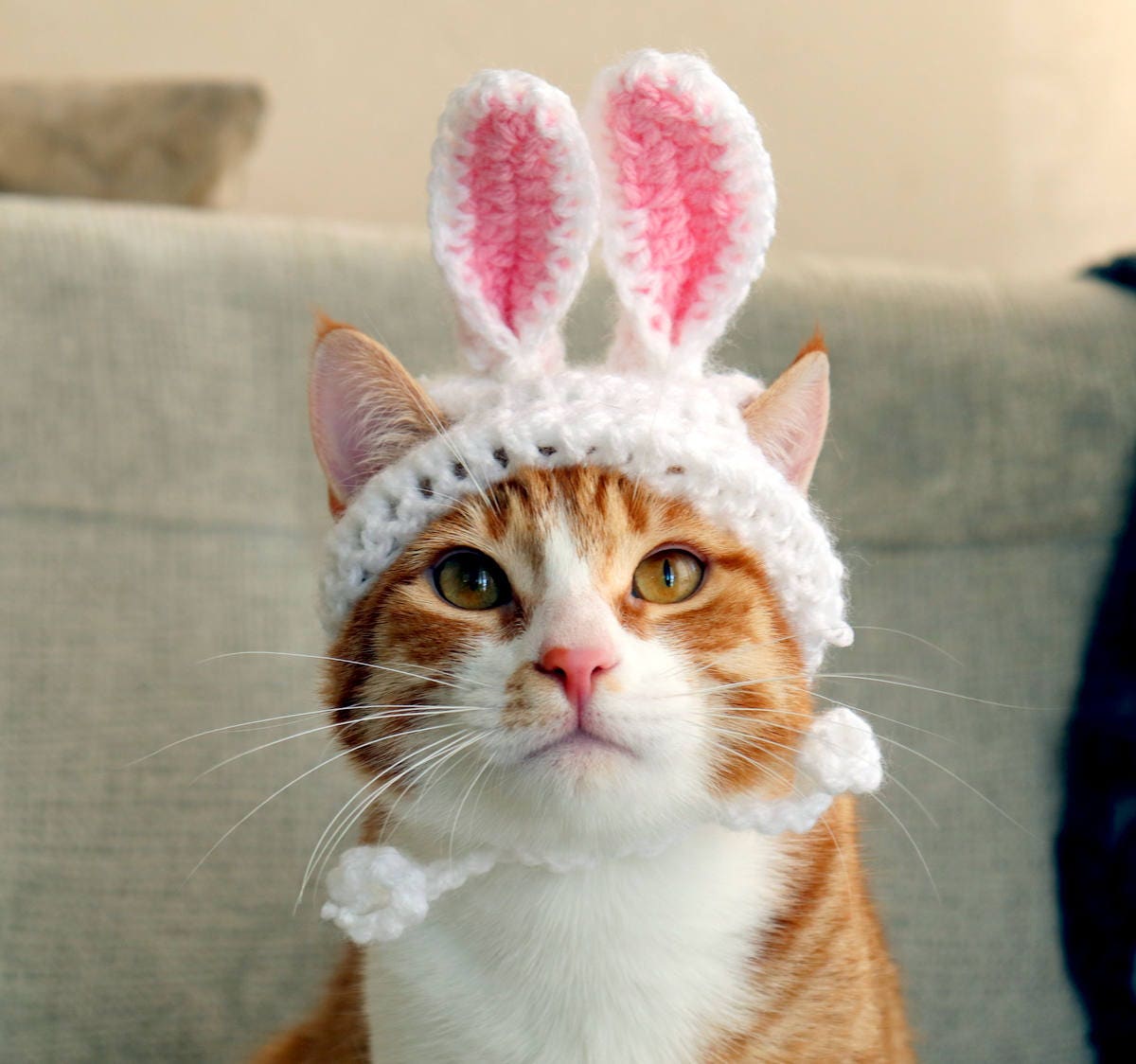 Bunny Ears for Cats Easter Bunny Costume for Cats Easter - Etsy UK