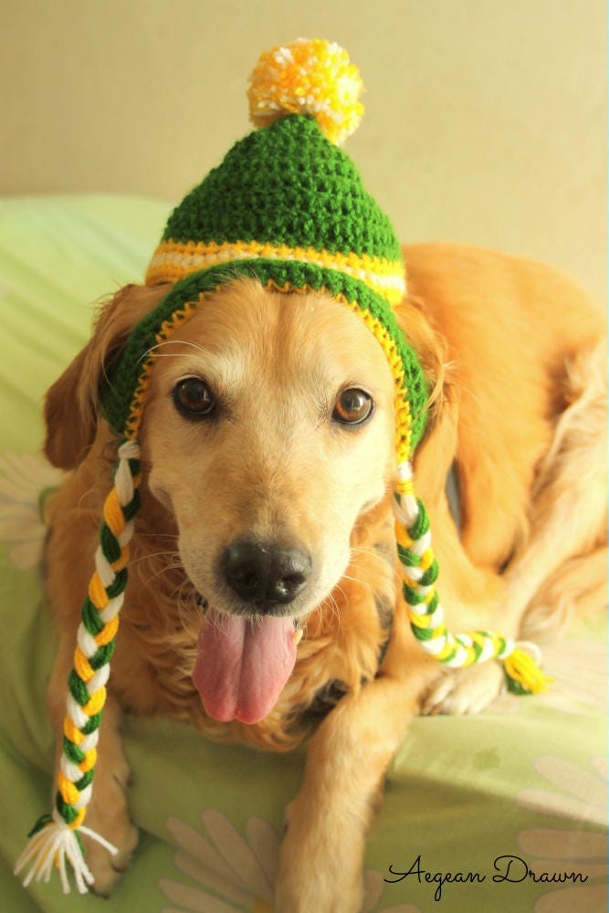 Sports Team Dog Hat Custom Dog Hat in Your Team's Colors | Etsy