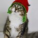 Crochet Apple Hat Pattern for Cats - Extra Small Dogs, Apple Cat Hat ...