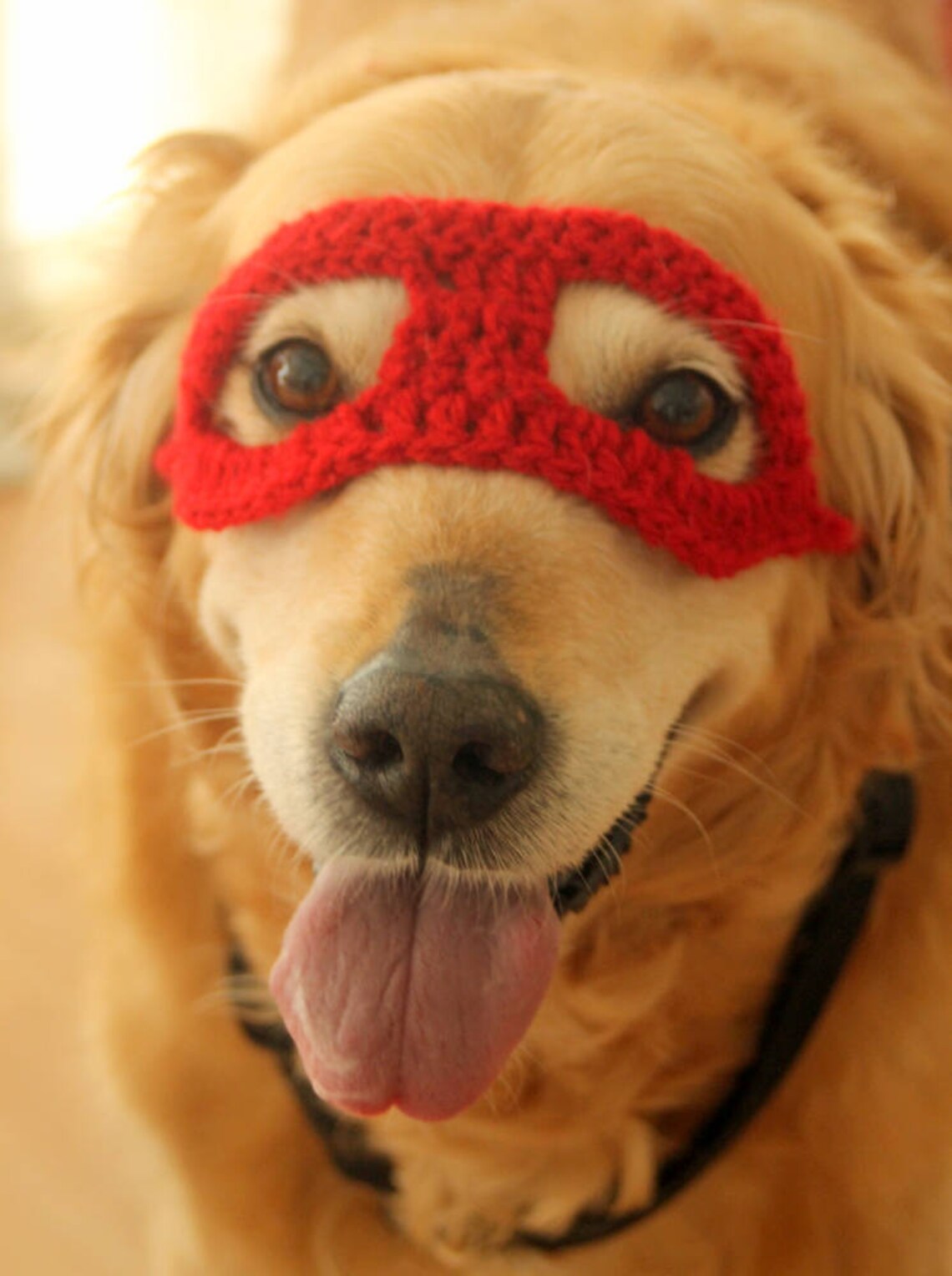 Super Hero Dog Costume Super Hero Mask for Dogs Super Hero - Etsy