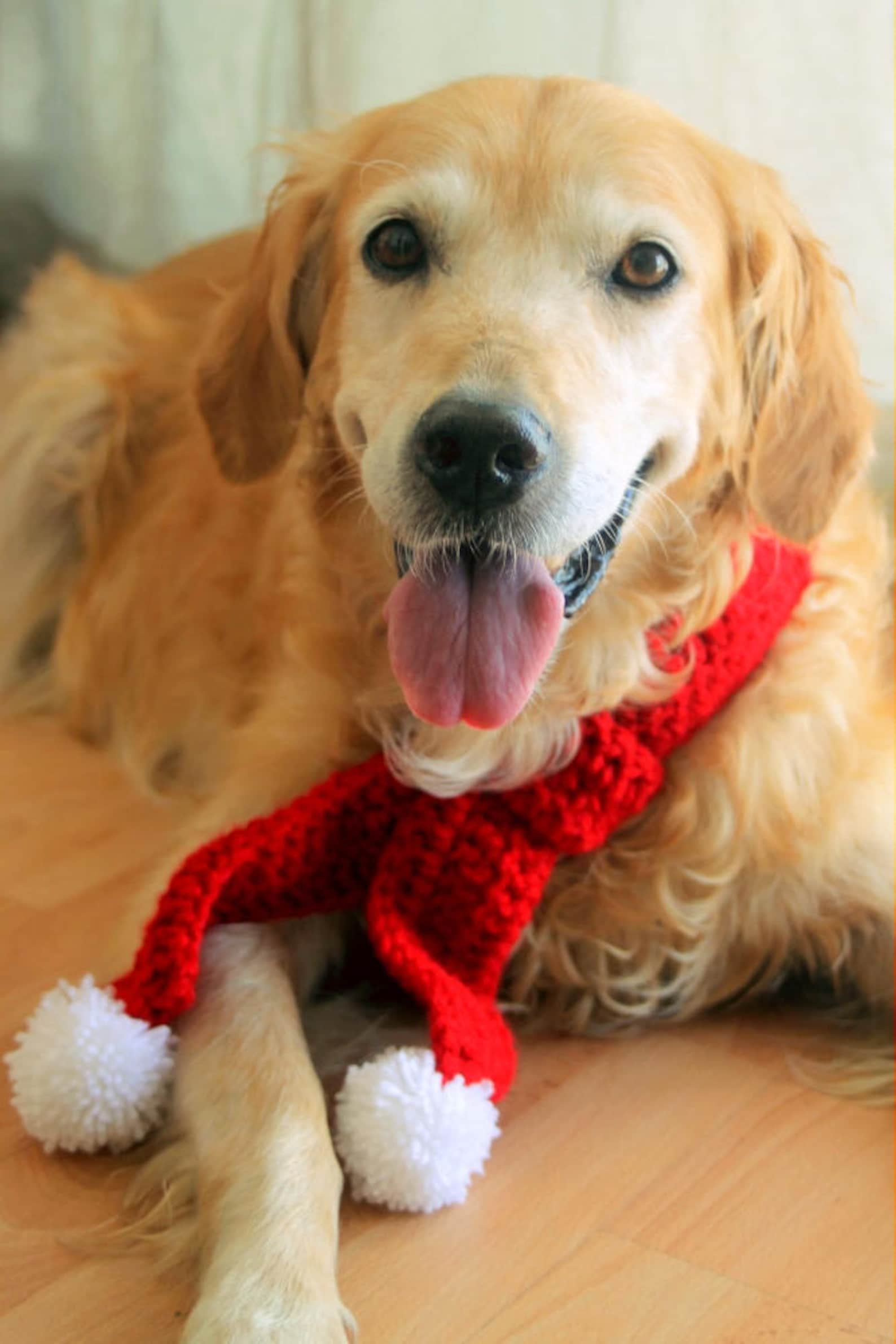Dog Scarf Christmas Scarf for Dogs Puffball Dog Scarf | Etsy