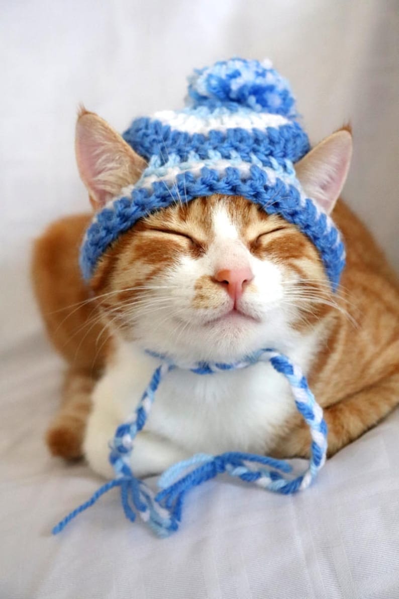 Hat for Cats, Toboggan Cat Hat, Beanie for Cats & Kittens, Cat Stocking ...