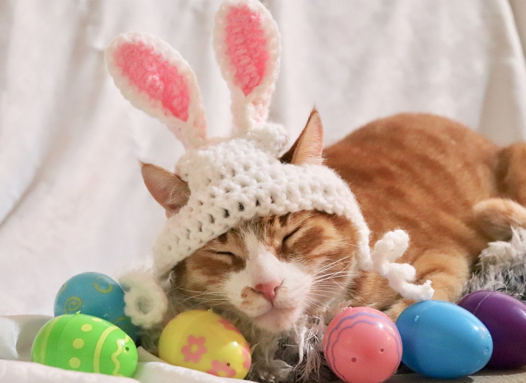 Bunny Ears for Cats, Easter Bunny Costume for Cats, Easter Rabbit Ears ...