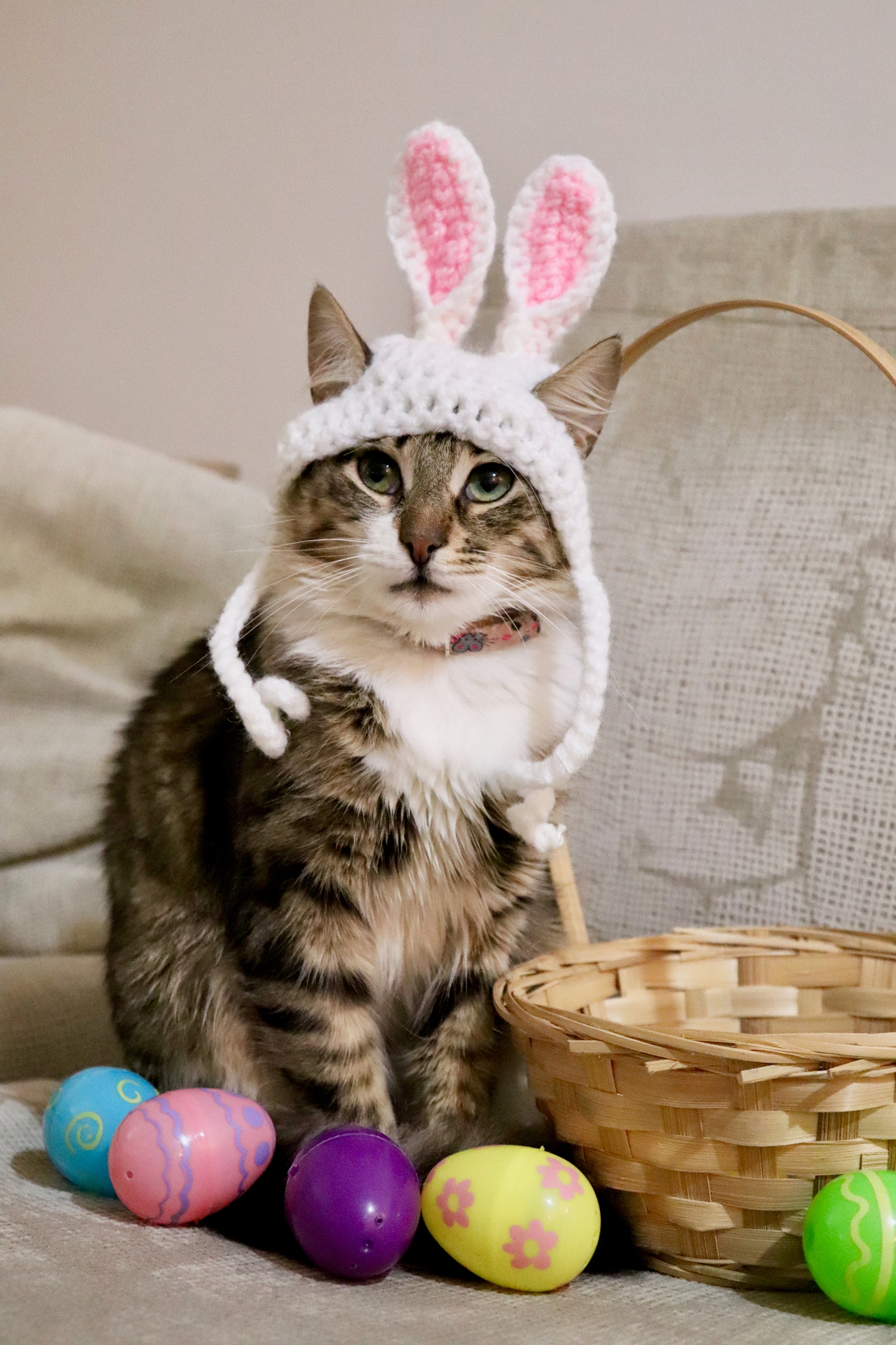 Bunny Ears for Cats Easter Bunny Costume for Cats Easter | Etsy