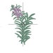 Rosemary Machine Embroidery Design 2 Sizes - Etsy