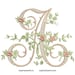All Vintage Alphabet With Roses Machine Embroidery Designs - Etsy