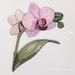 Elegant Orchids Machine Embroidery Design - 4 Sizes - Etsy