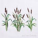 Bulrush Machine Embroidery Designs Set - 7 Sizes - Etsy