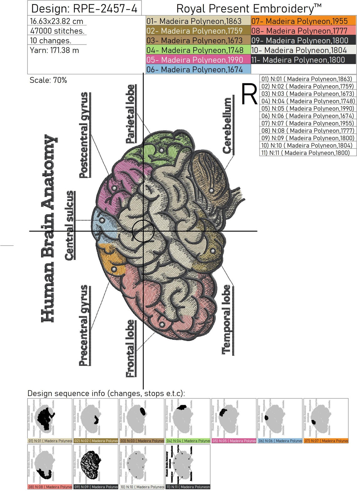 Human Brain Anatomy Machine Embroidery Design 4 Sizes - Etsy