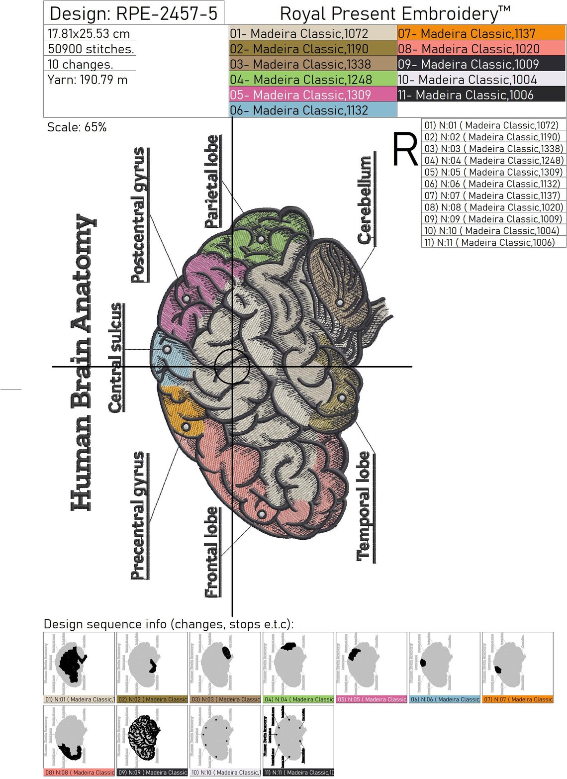 Human Brain Anatomy Machine Embroidery Design 4 Sizes - Etsy