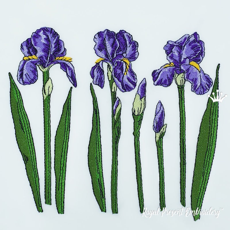 Iris Embroidery - Etsy