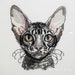Pocket Cornish Rex Cat Portrait Machine Embroidery Design - 4 Sizes - Etsy