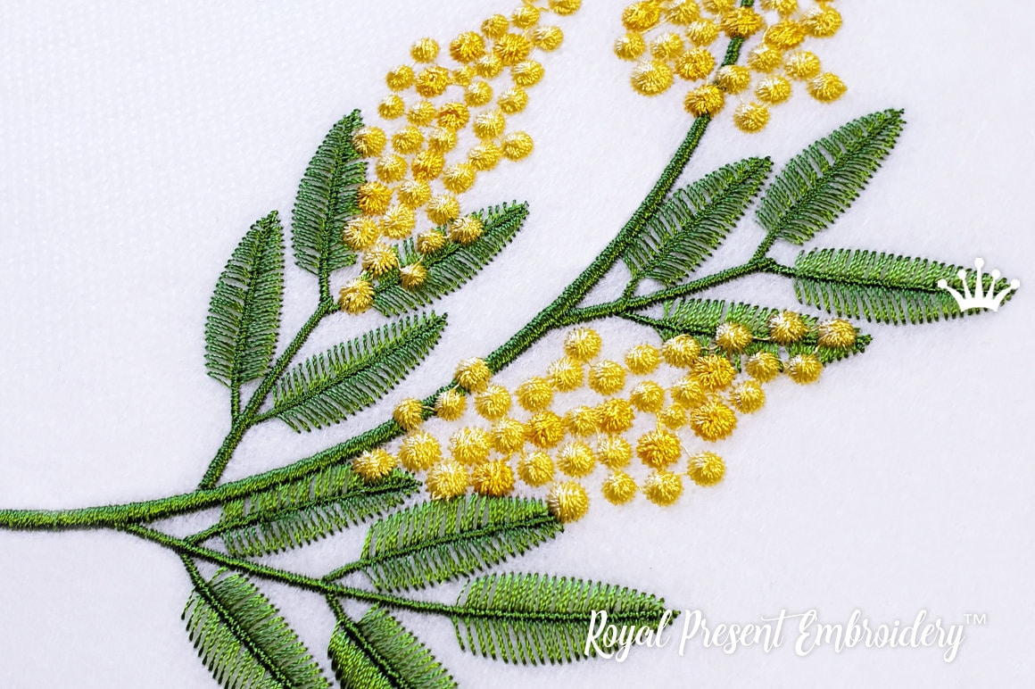 Mimosa Two Machine Embroidery Designs 2 Sizes - Etsy