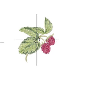 Raspberries Machine Embroidery Design - Etsy
