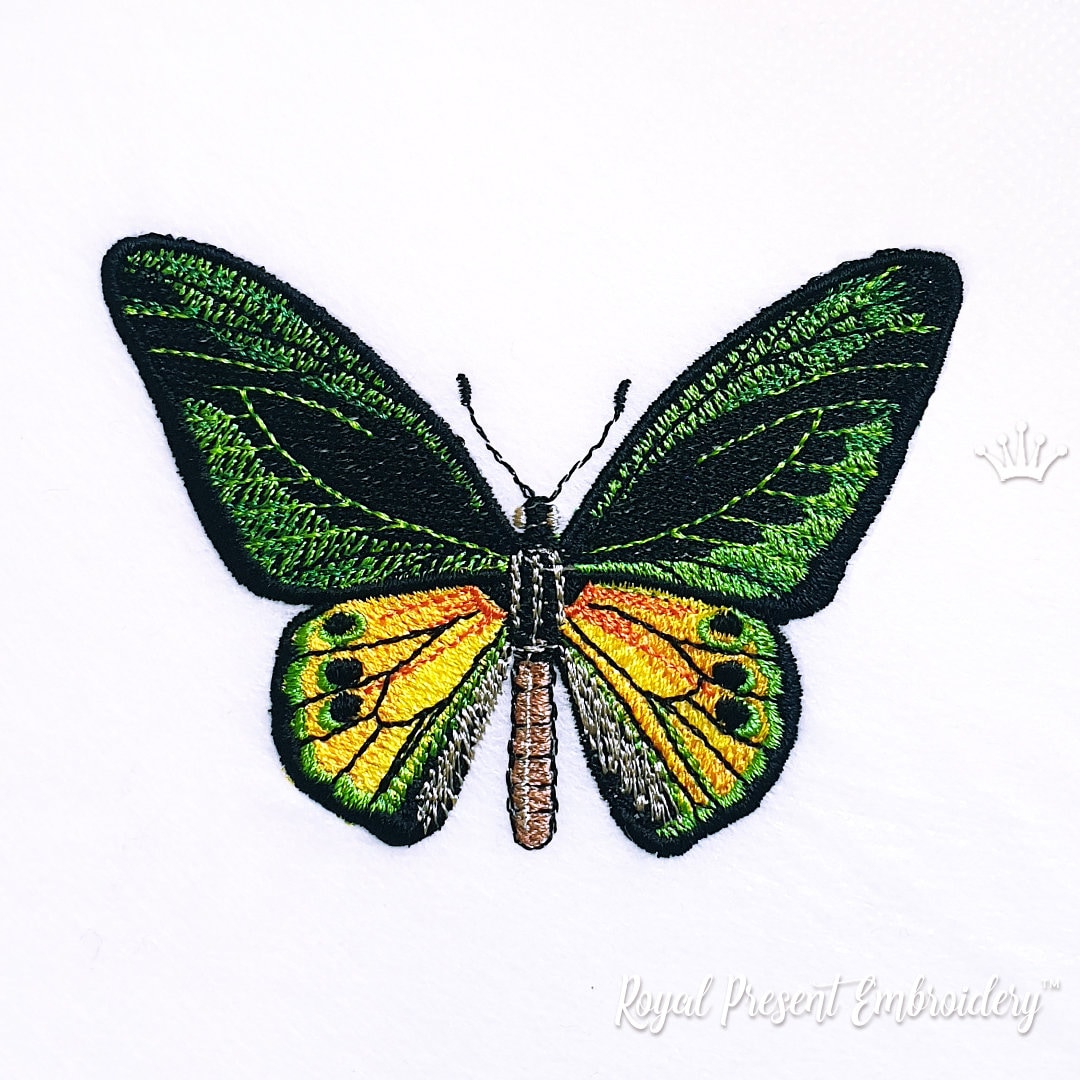Butterfly Machine Embroidery Design 3 Sizes | Etsy