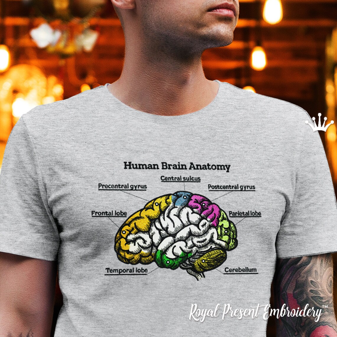 Human Brain Anatomy Machine Embroidery Design 4 Sizes - Etsy