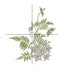 Jasmine Machine Embroidery Designs - Etsy