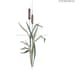 Bulrush Machine Embroidery Designs Set - 7 Sizes - Etsy