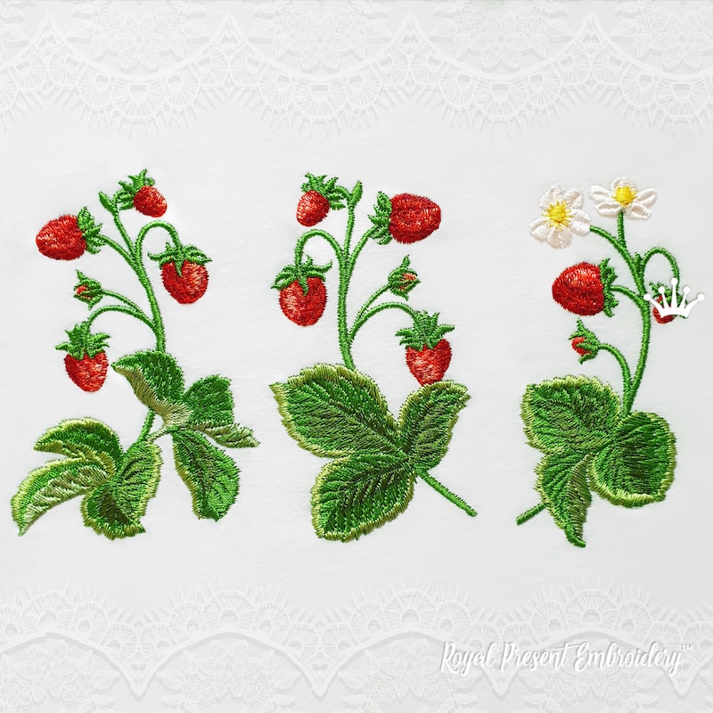 Strawberry Machine Embroidery Designs - Etsy