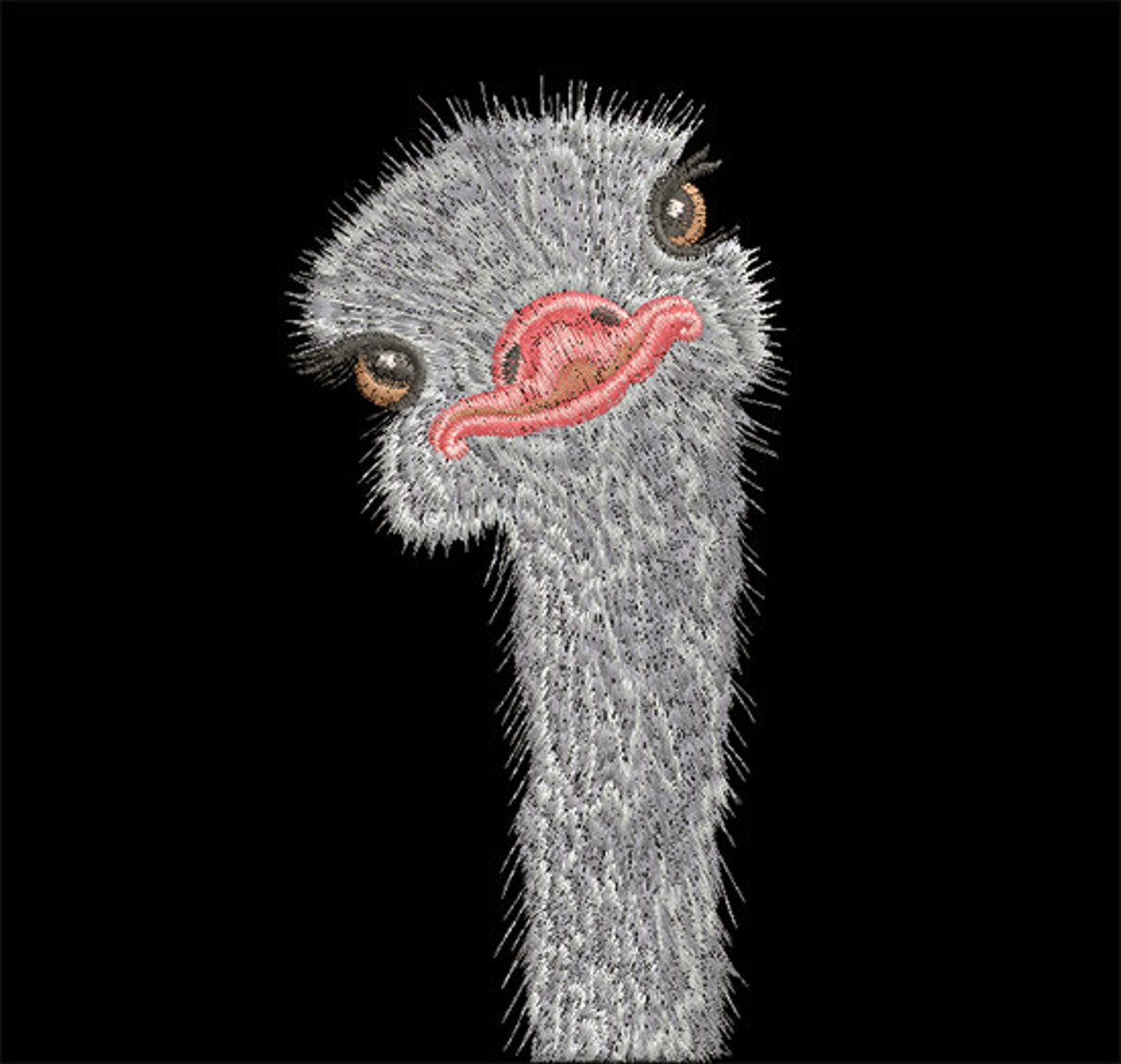 Machine Embroidery Design Ostrich 2 Sizes Etsy