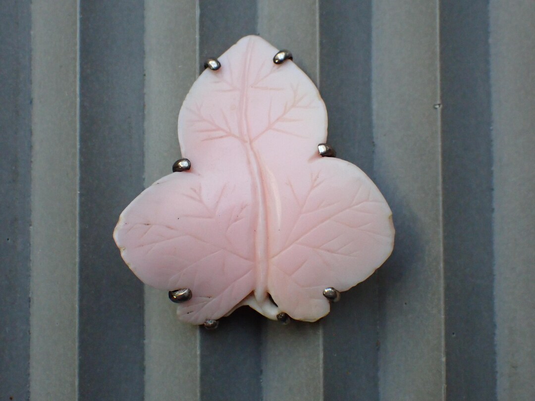 Antique Victorian Carved Pink Conch Shell Ivy Leaf Cameo Brooch - Etsy