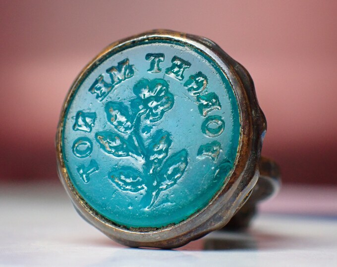 Antique Early Victorian Forget Me Not Intaglio Tassie Seal Fob Charm - Etsy