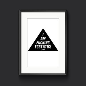 I Am Fucking Ecstatic Mental Health Art Print, Colourful Home Decor ...