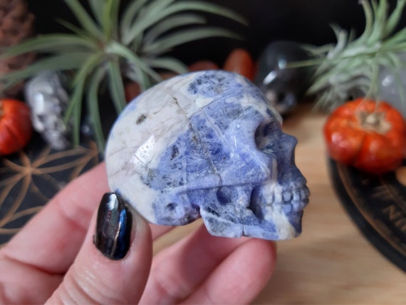 Home Décor Home & Living Rocks & Geodes SODALITE Skull-50mm Small ...