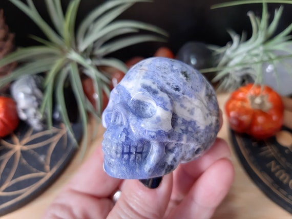 Home Décor Home & Living Rocks & Geodes SODALITE Skull-50mm Small ...
