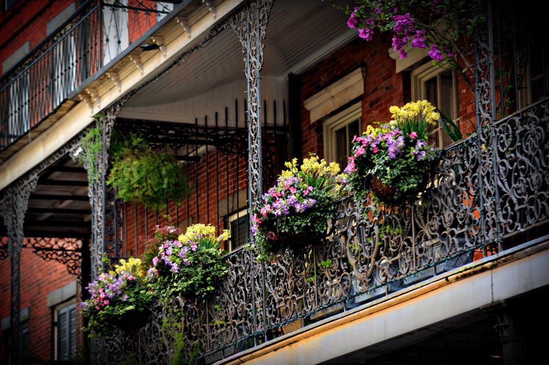 Bourbon Street Balcony New Orleans Historic French Quarter, Spring ...