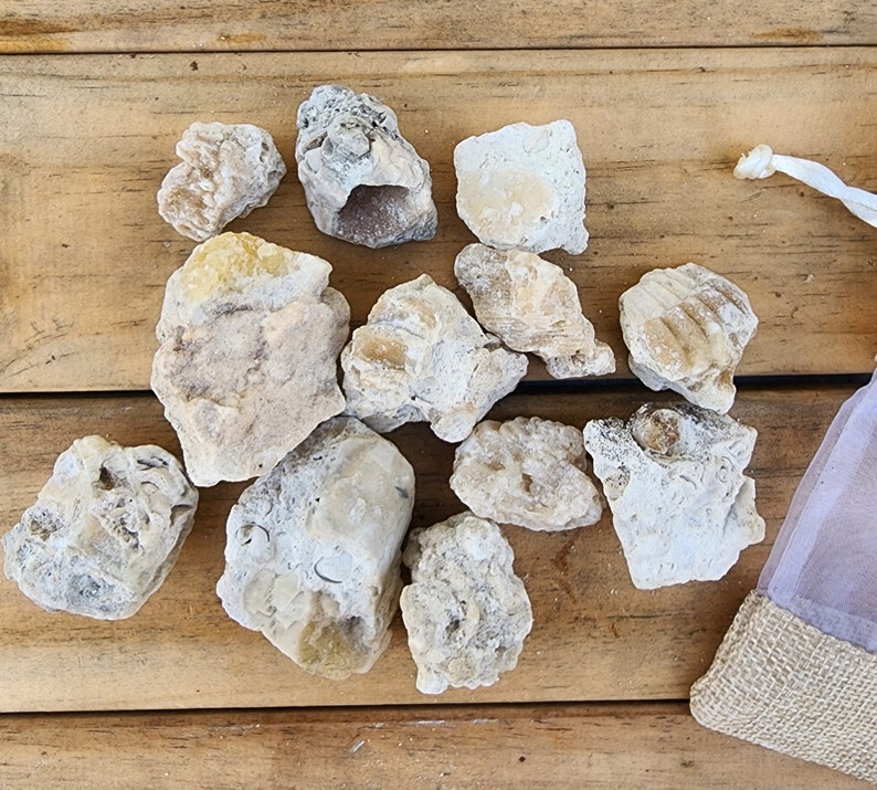 Hand-harvested and Individually Selected Ancient Florida Calcite Rocks ...