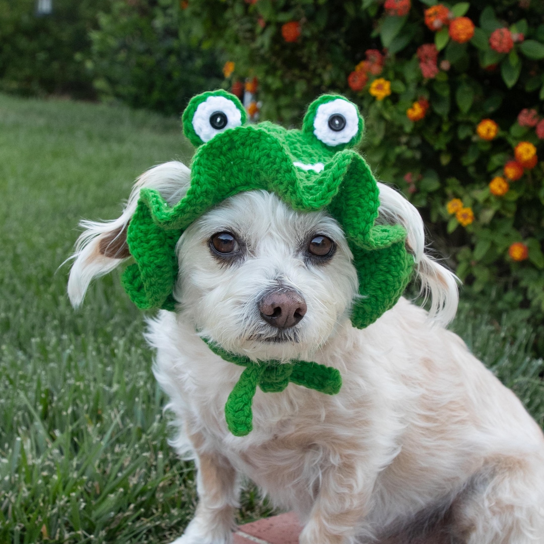 Frog Pet Hat (hunter Green): Handcrafted Crochet Costume for Cats and ...