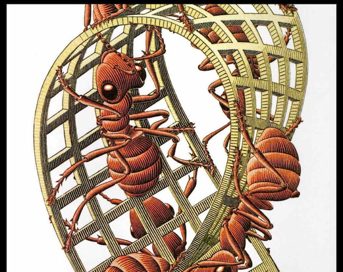 MC Escher Print, Escher Art, "mobius Strip II (red Ants)", Circa 1963 ...