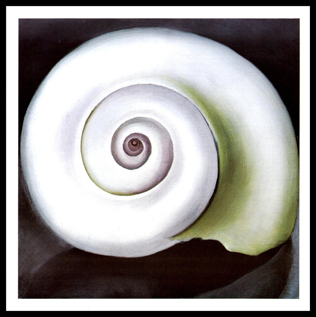 1928 Georgia O'keeffe Print, Shell I, Oil on Canvas, Original Vintage ...
