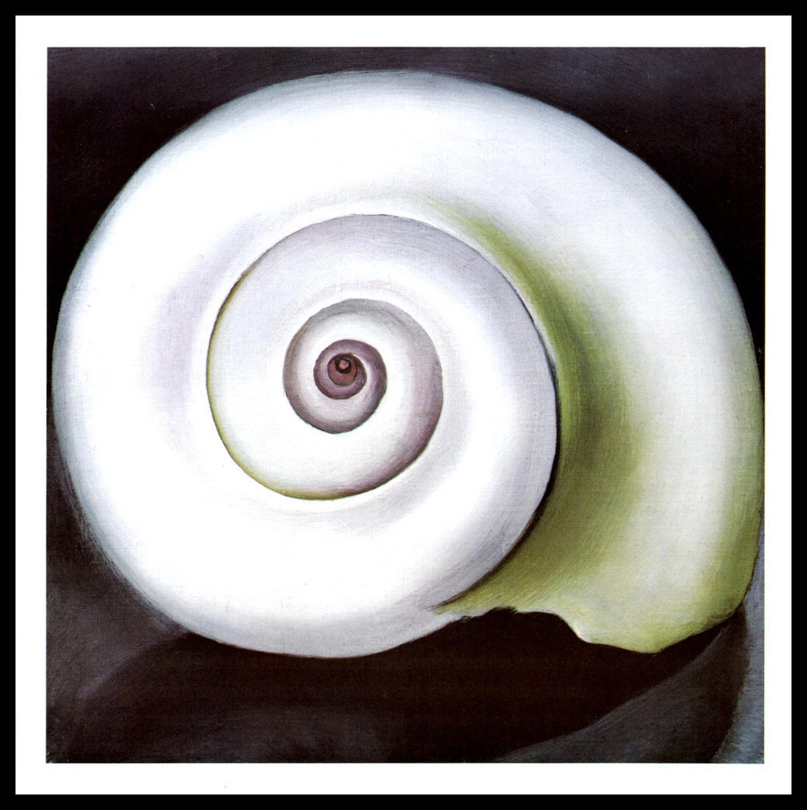 1928 Georgia O'keeffe Print Shell I Oil on Canvas - Etsy