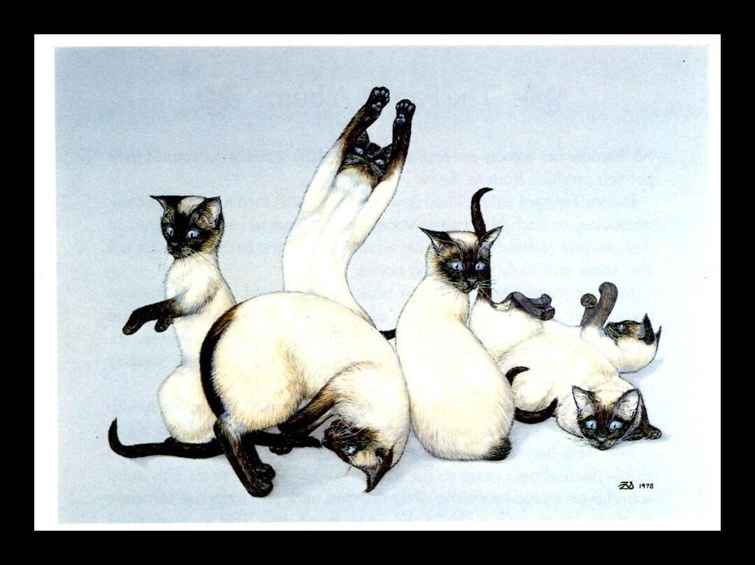 Cat Art Print, Original Vintage Cat Artwork, Professionally Matted 8x10 ...