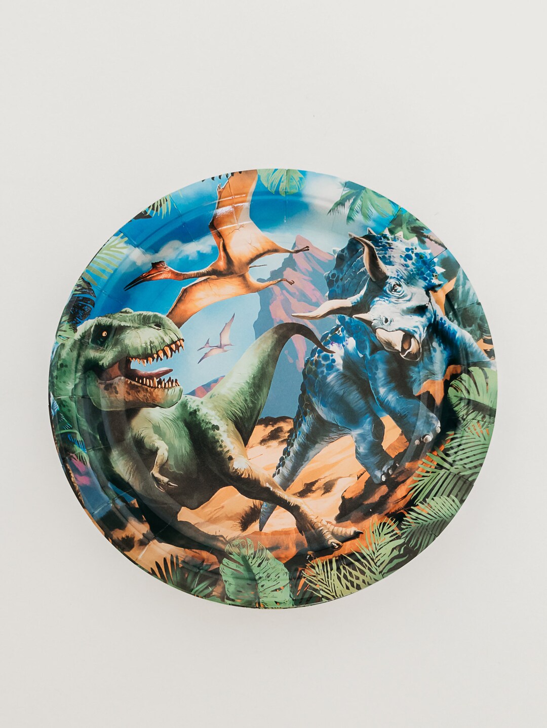 Dinosaure Plates Dinosaur Party Plates 7 Inch Plates Dinosaur Party ...