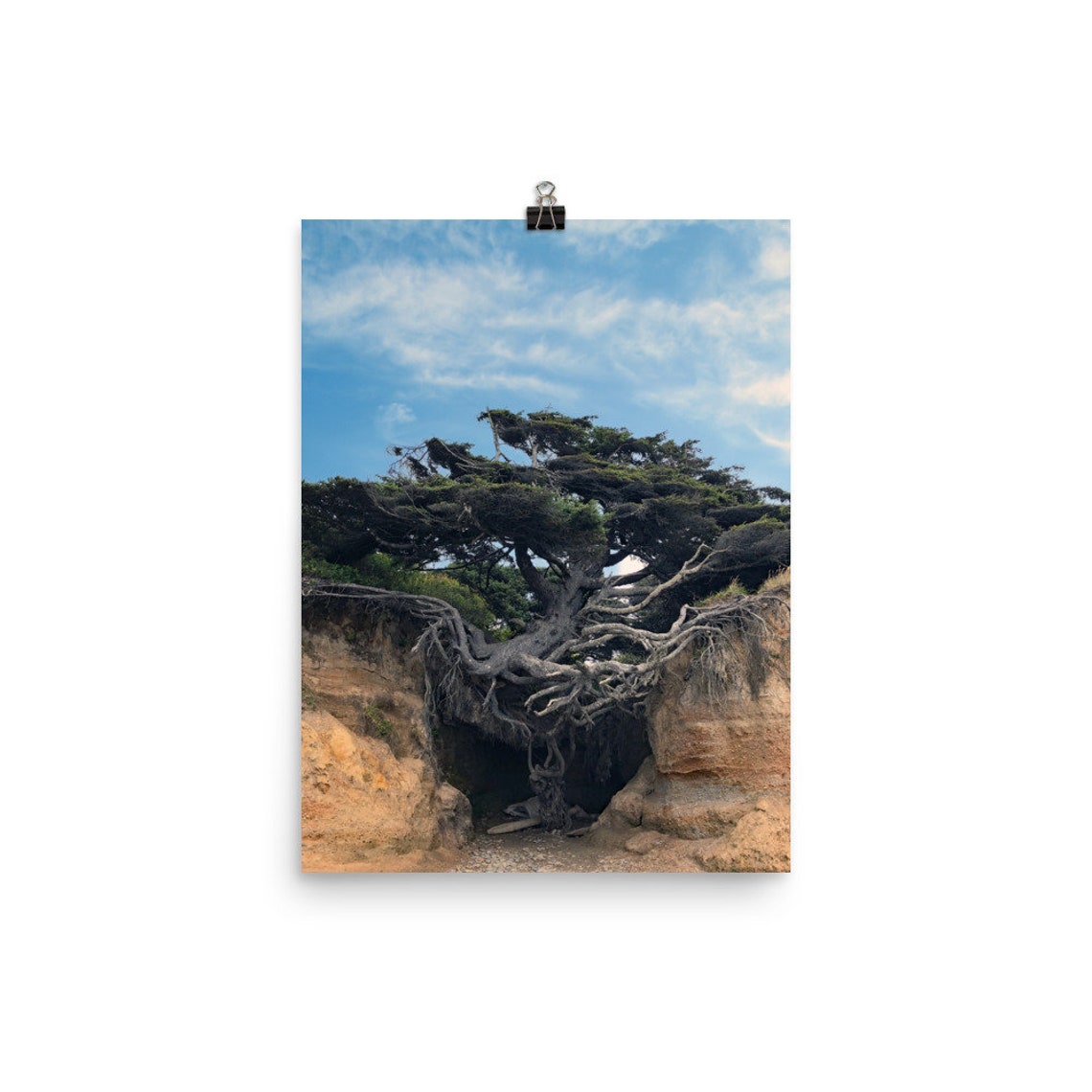 Tree of Life Nature Poster | Etsy