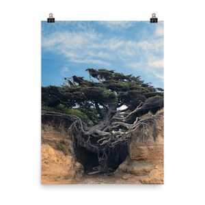 Tree of Life Nature Poster | Etsy