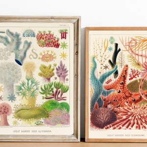 The Great Barrier Reef of Australia Wall Art Print Set of 17, Printable ...