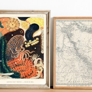 The Great Barrier Reef of Australia Wall Art Print Set of 17, Printable ...