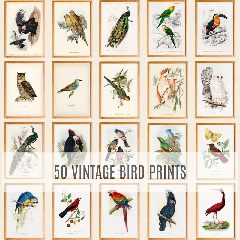 Vintage Bird Botanical Art - Etsy UK