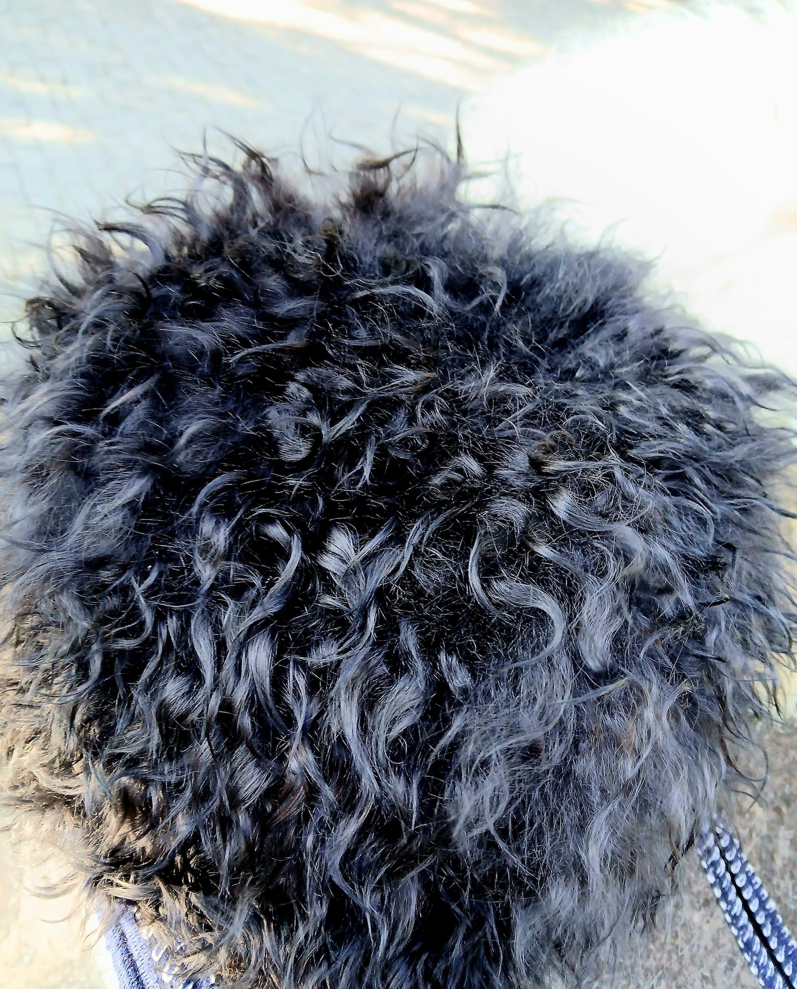 Papakha Hat,cossack Cosplay Hat,russian Costume Hat,festival Outfit ...