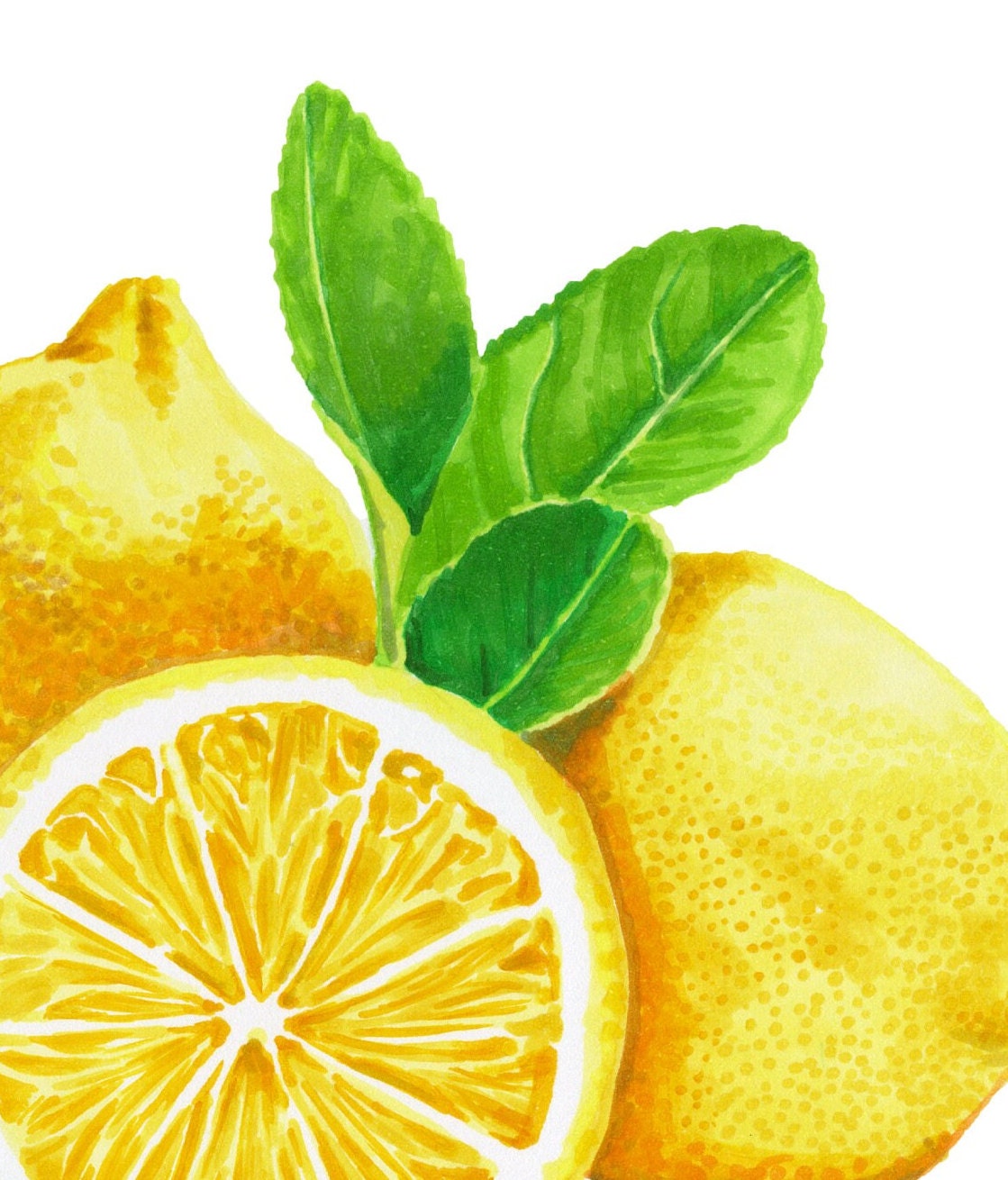 Lemons Ink Drawing - Art Print - Inktober 2021 "sour" Lemon Pen Artwork ...