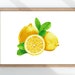 Lemons Ink Drawing - Art Print - Inktober 2021 "sour" Lemon Pen Artwork ...
