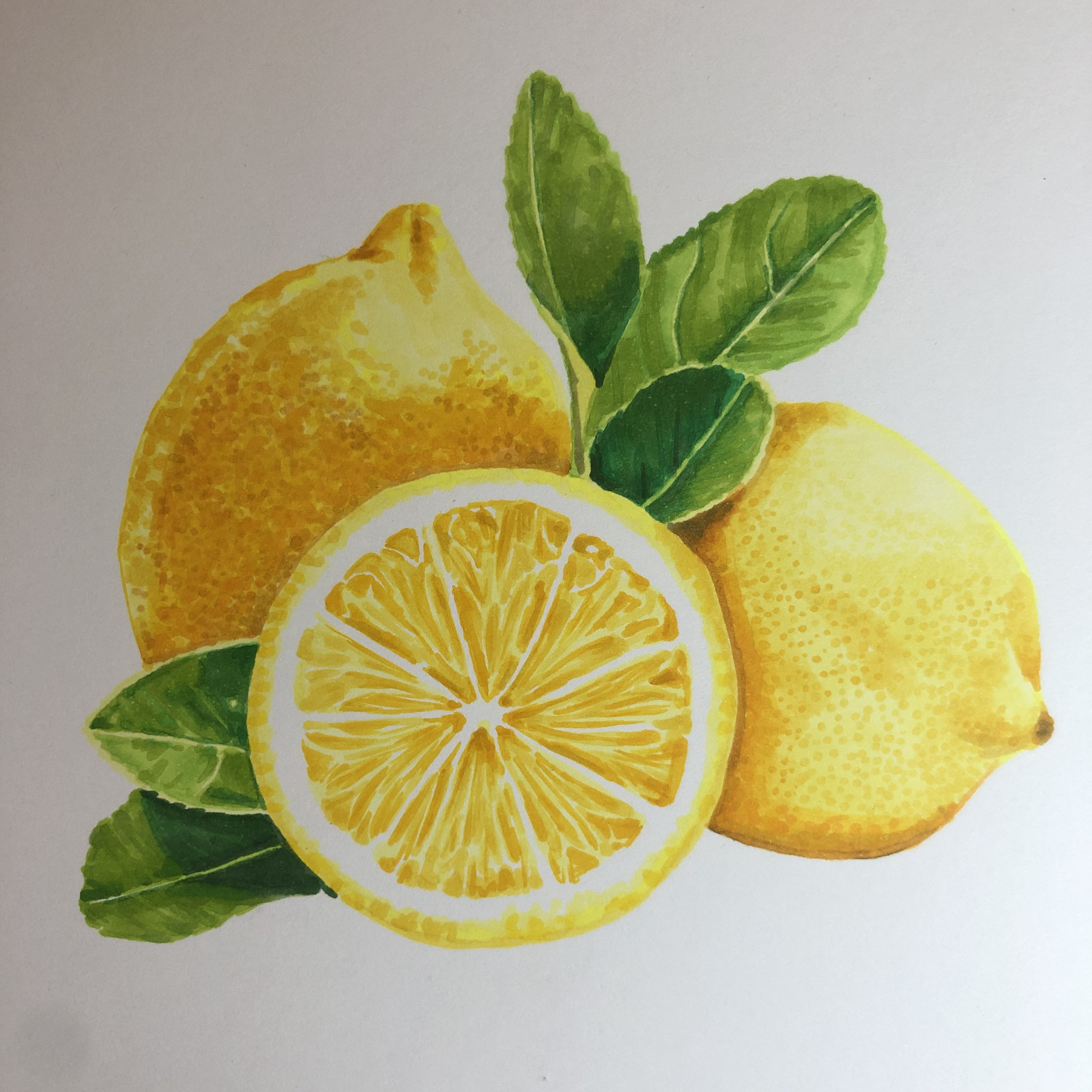 Lemon Drawing