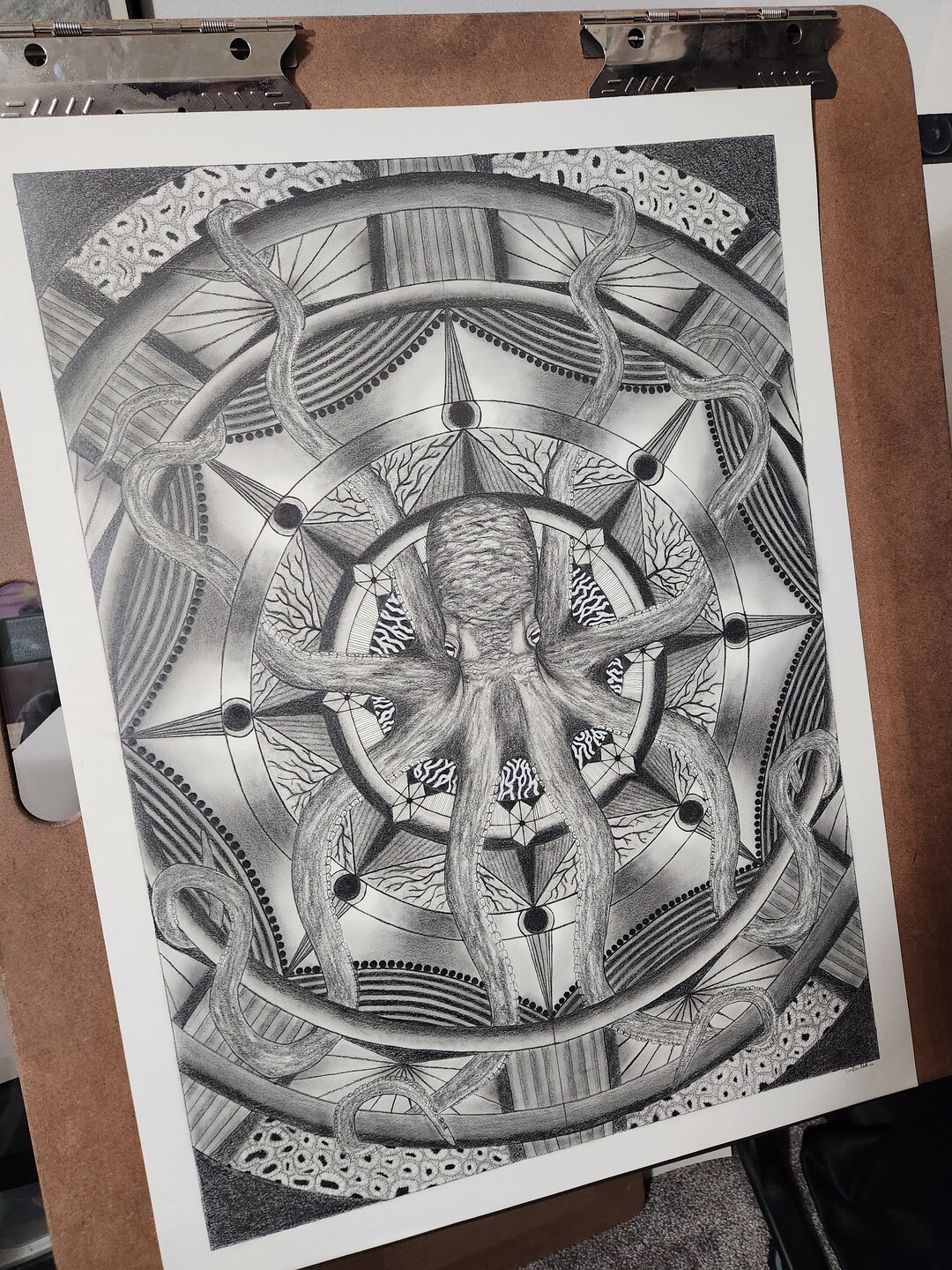 Octopus Drawing (print) - Etsy