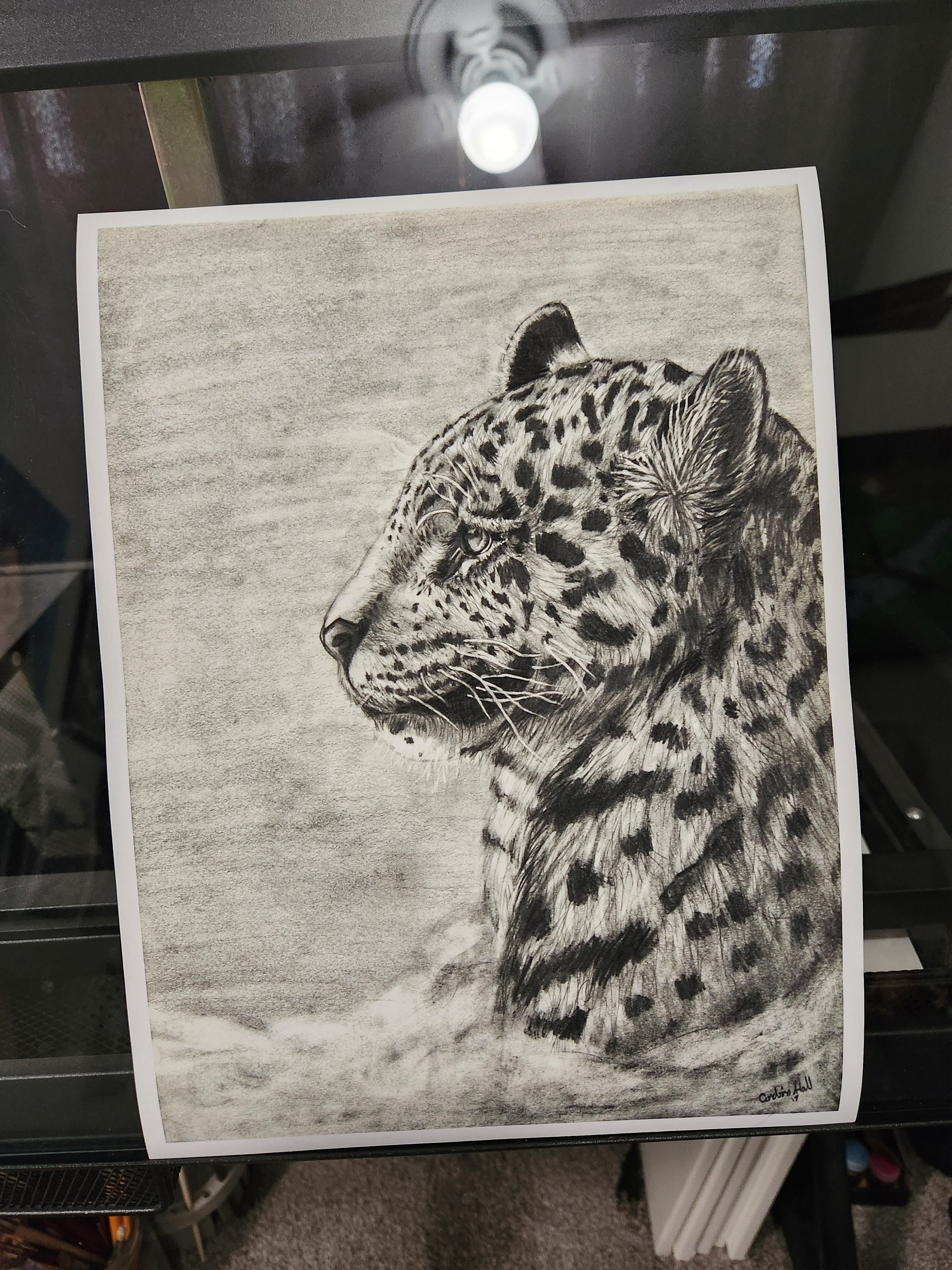 Jaguar Drawing Drawing (print) - Etsy